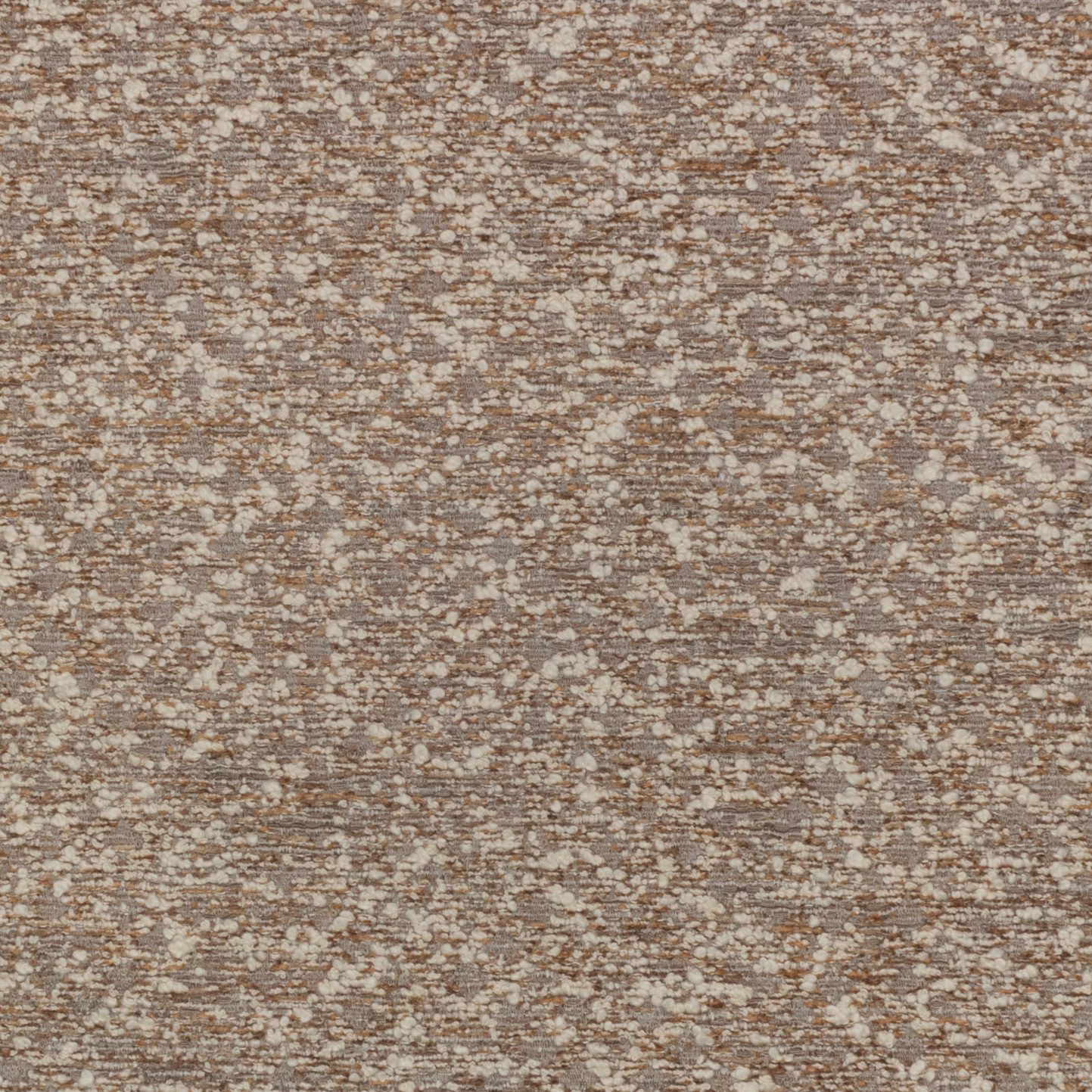 Lucca - Evolution21 | By Karine Bonjean