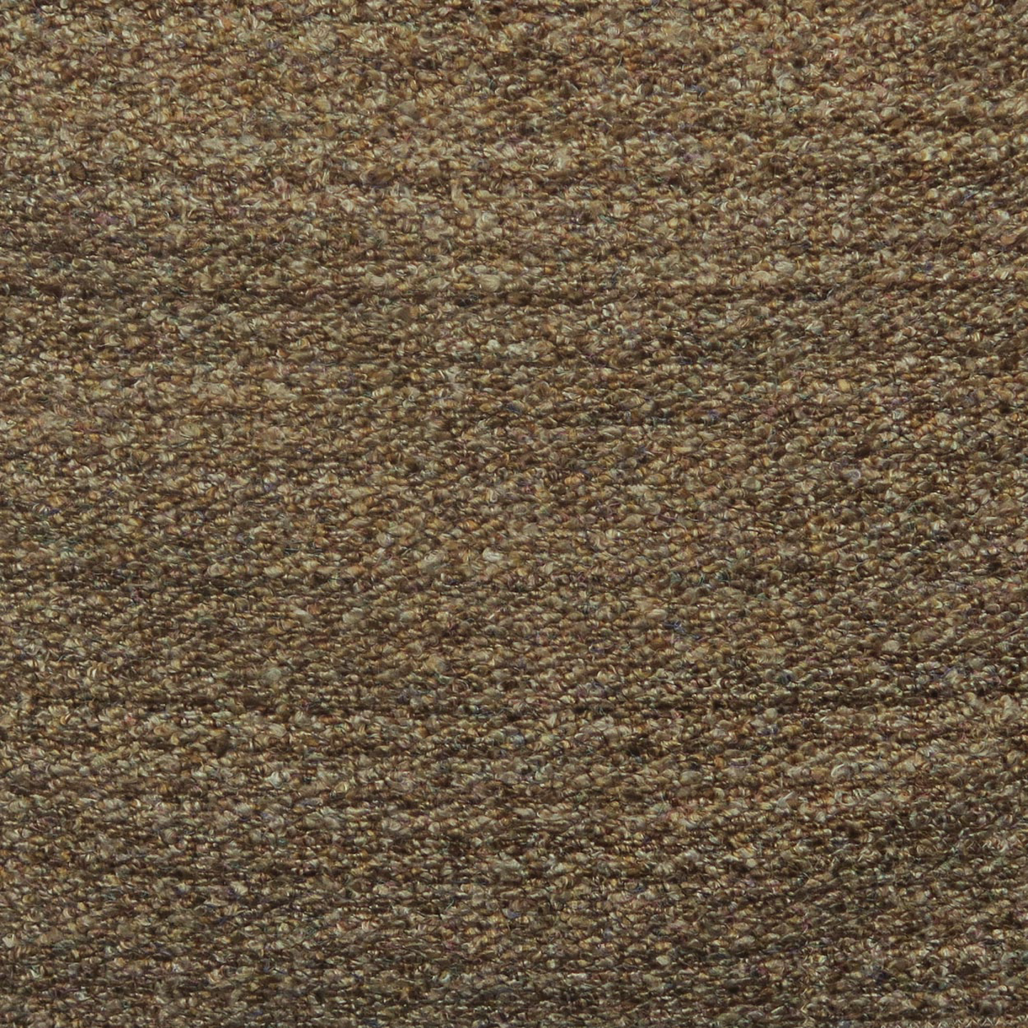 Coco - Evolution21 | By Karine Bonjean